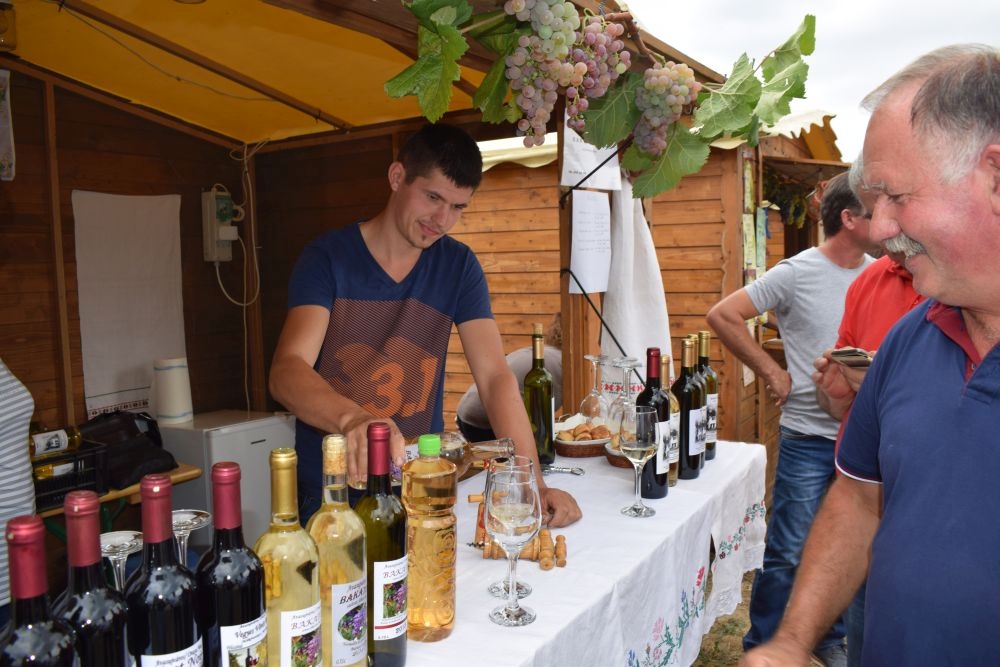 Bakator bort az asztalra, a pohárba — mert jó bornak is kell a cégér!