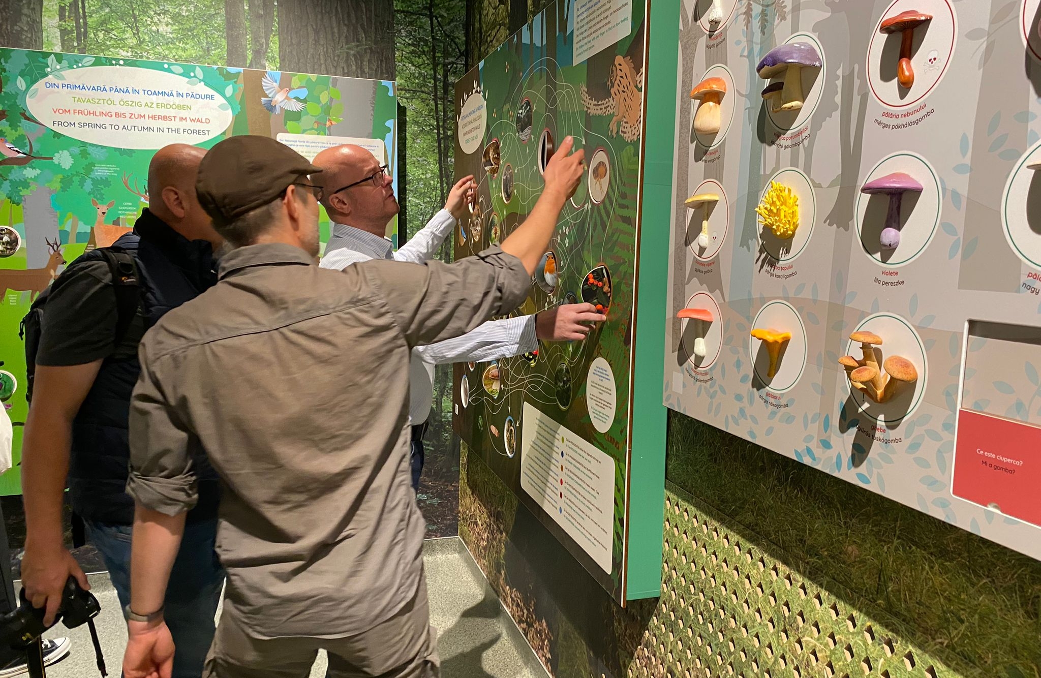 Gyermeknapon nyit a kívül-belül megújult múzeum