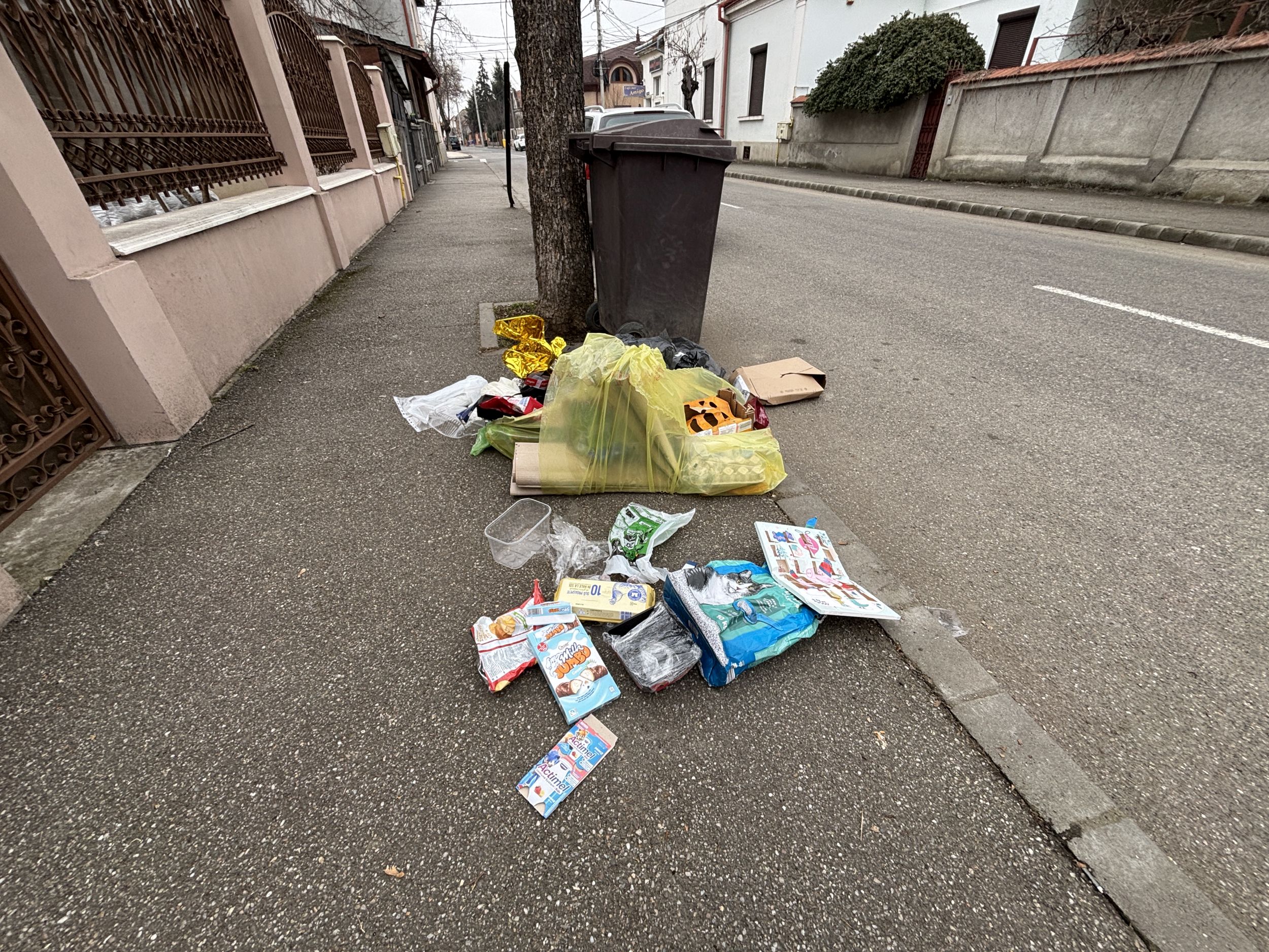 Teleszemetelték a Grigore Ureche (Szentvér) utcát