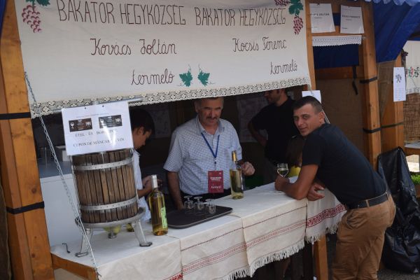 Isten hozta a bakator bor hazájában!